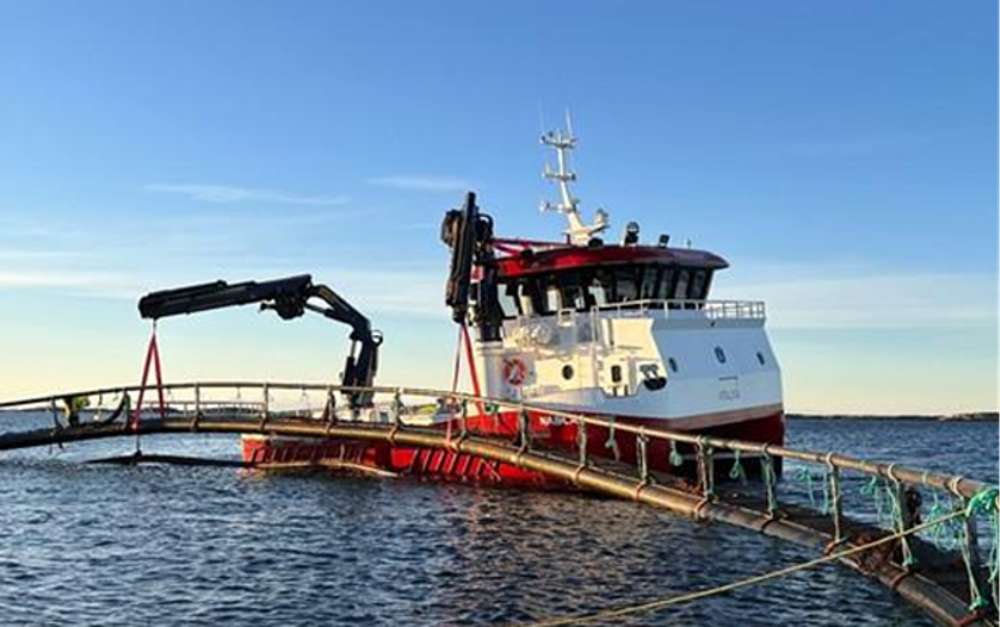 Fartøy og utstyr | Abyss