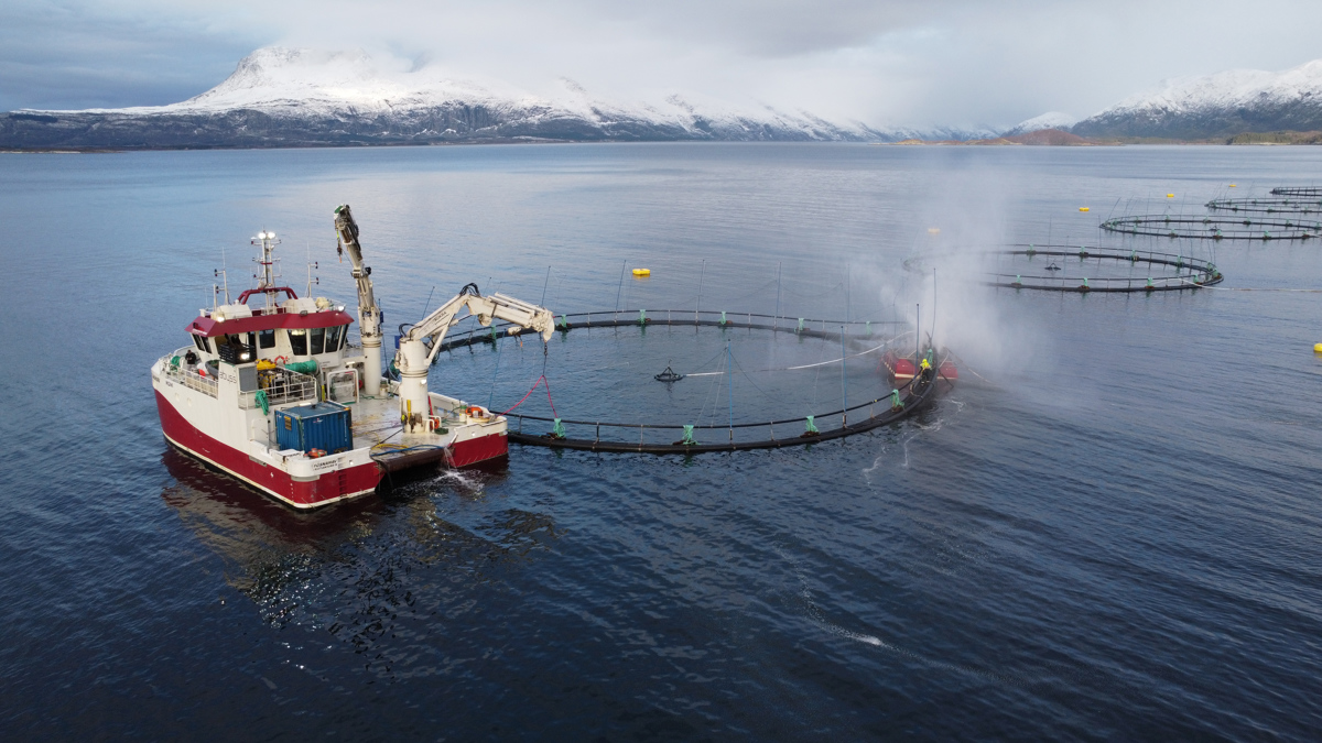 Leading provider of workboat and underwater services | Abyss