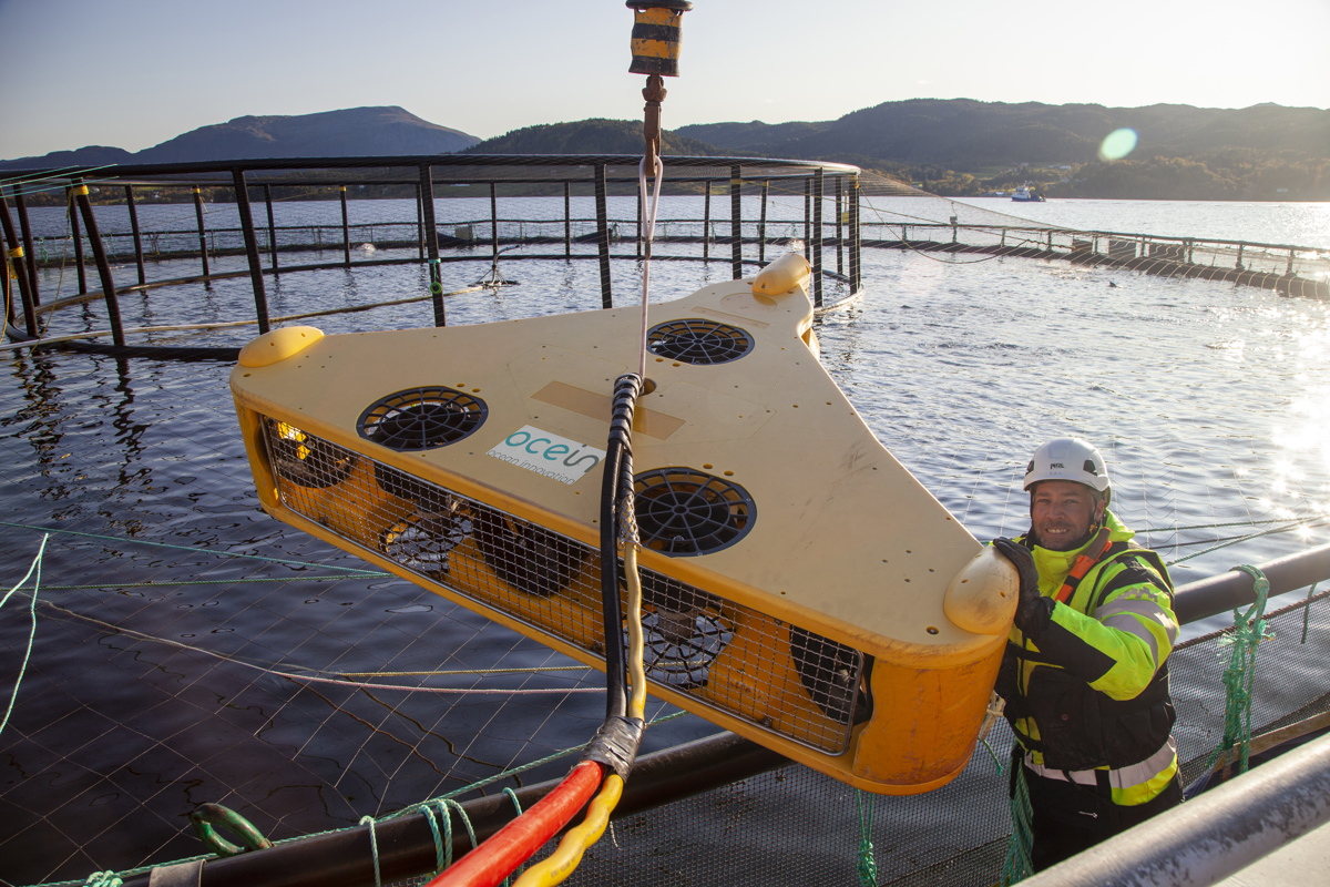 ROV (Remotely Operated Vehicle) | Abyss